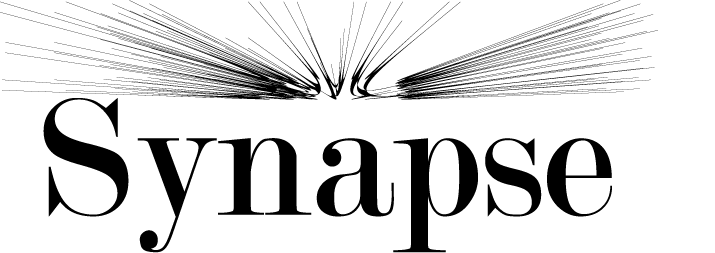 Contact Cybersecurity Experts in Belgium – Synapse Consulting